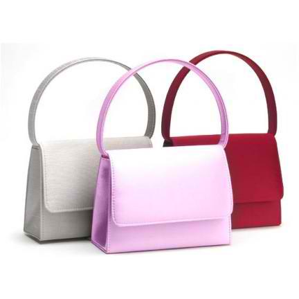 Kaylea Purse | Anna Bellagio